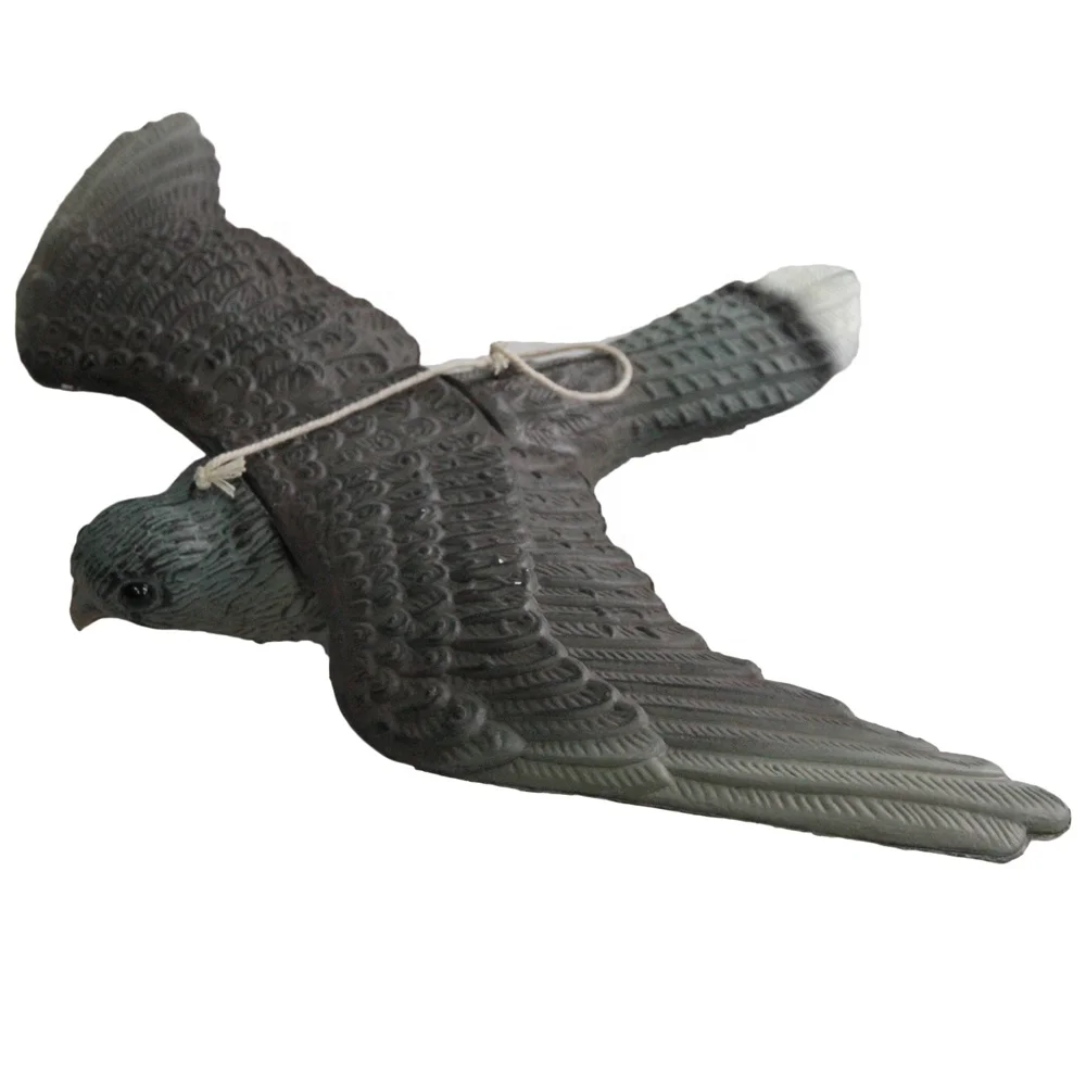 Hawk Decoy for Pest Control & Goose Hunting Decoys - OEM Available