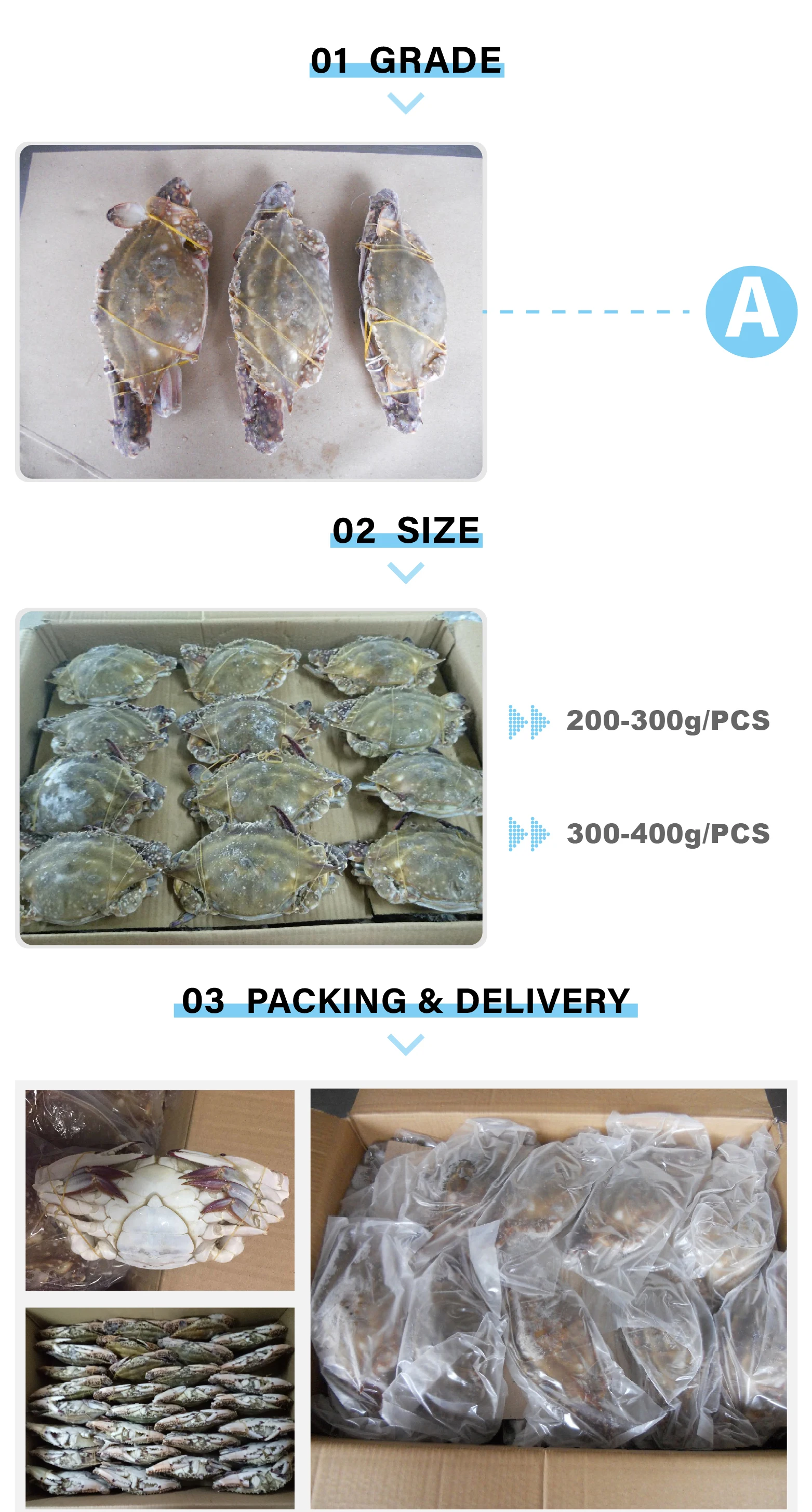 Best Quality Natural Frozen Soft Shell Crab Mud Crab Live - Buy Soft ...