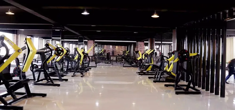 Hammer Crane Fitness Equipment Vertical Traction 5 Years Warranty Pull ...