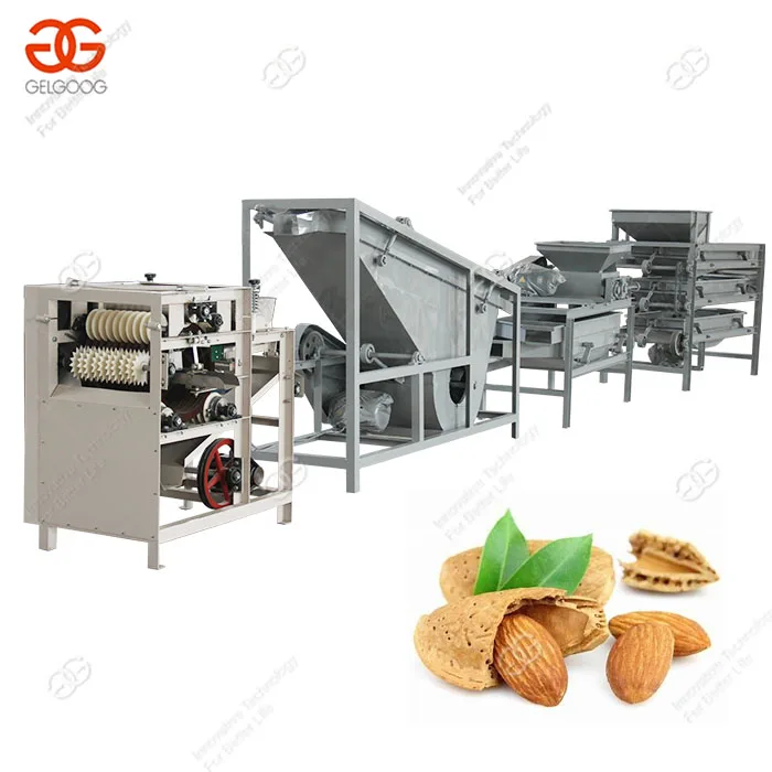 Peanut Sorting and Grading Machine - Efficient and Reliable