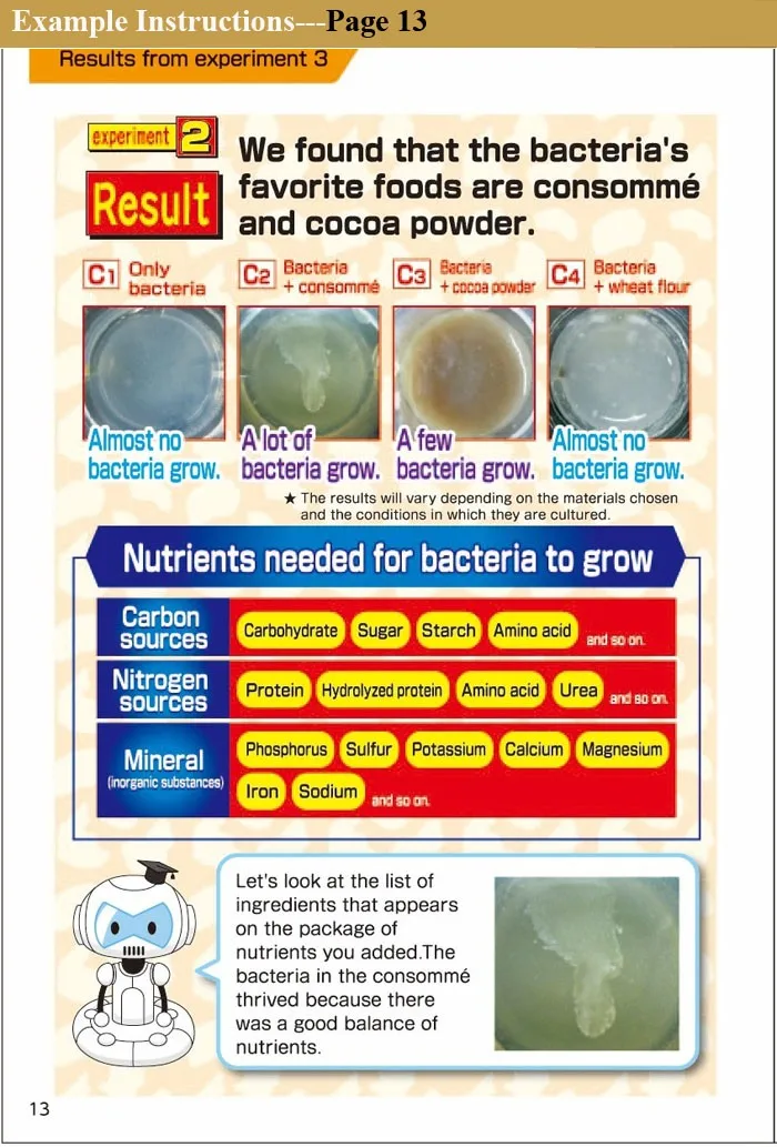 Bacteria Science Experiment