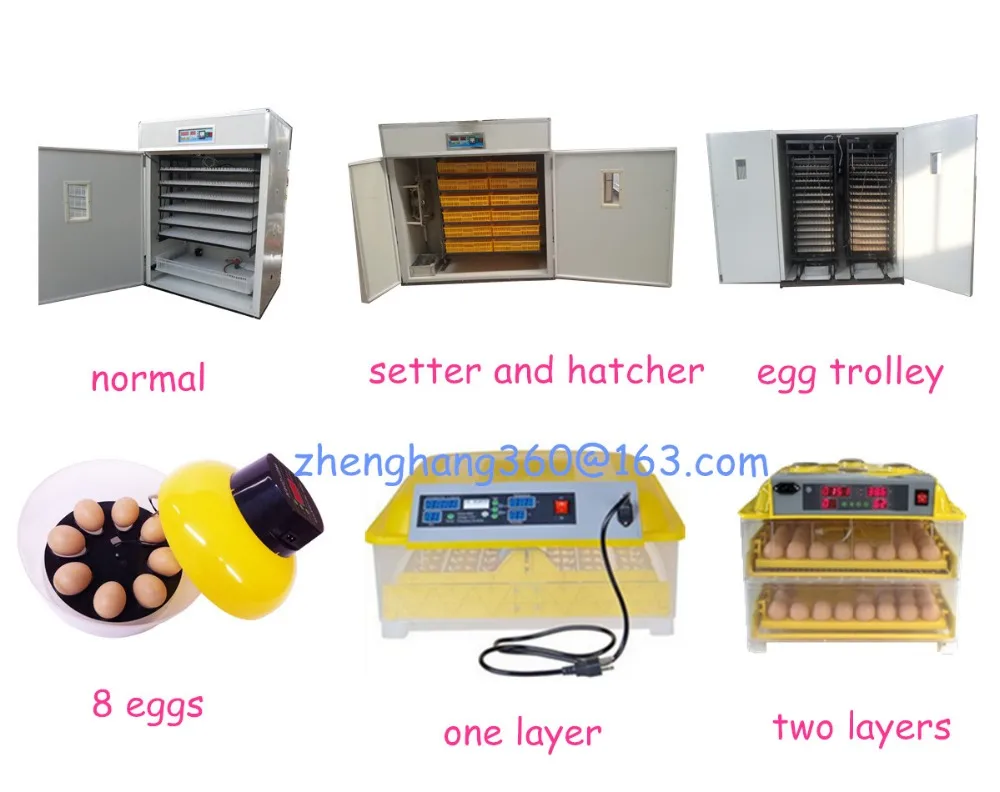 Cheap Price Chicken Egg Incubator Hatching Machine 56 Egg Mini ...