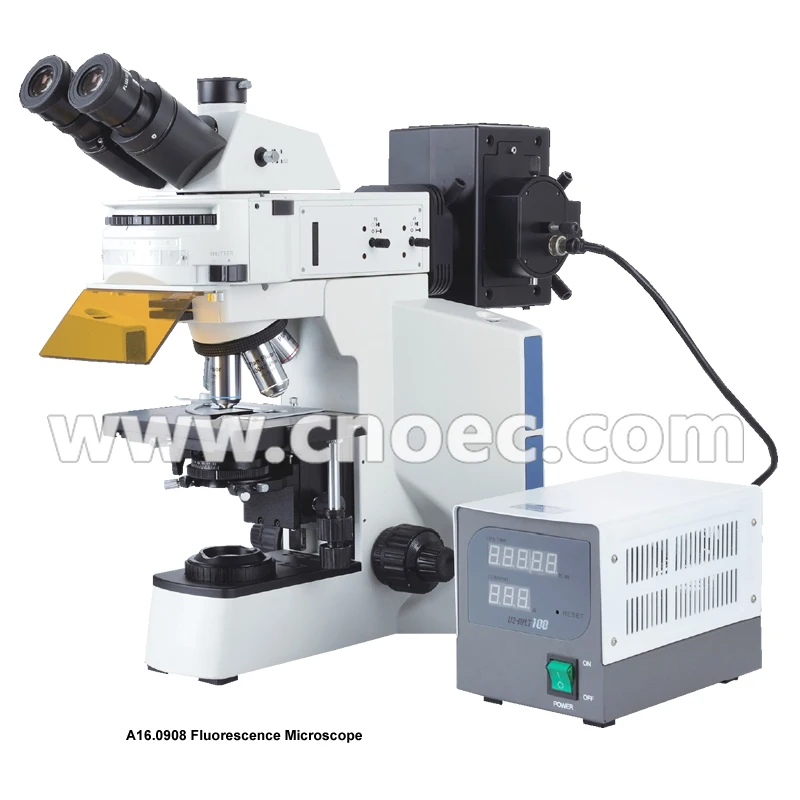 Opto-edu A16.0908 Apo Trinocular Inverted Fluorescence Microscope - Buy ...
