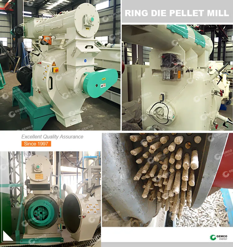 20 Ton per Hour Biomass Pellet Production Plant by GEMCO