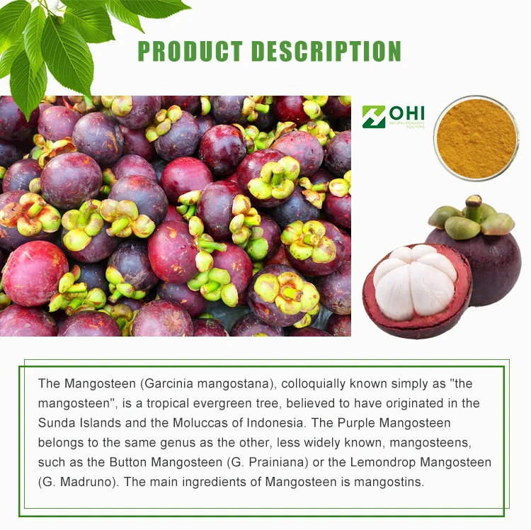 Test Methods Hplc Mangosteen Extract Powder - Buy Mangosteen Extract ...