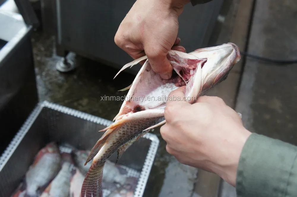 A Complete Line For Fish Speed Cleaning Machine For Seafood Processing ...