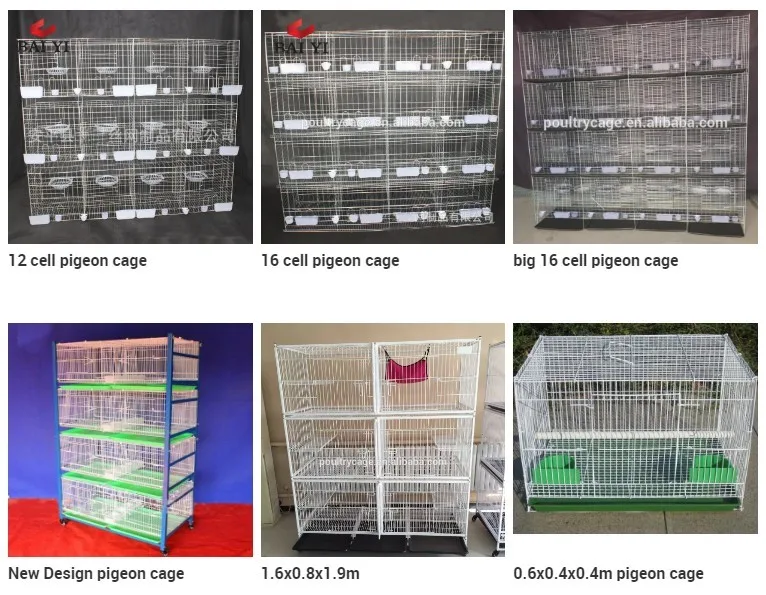 pigeonloft,mepigeon,arpigeon_大山谷图库