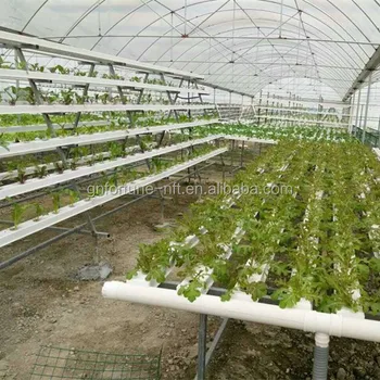 Hydroponic Greenhouse Nft Lettuce/strawberry Growing Vertical Tube ...
