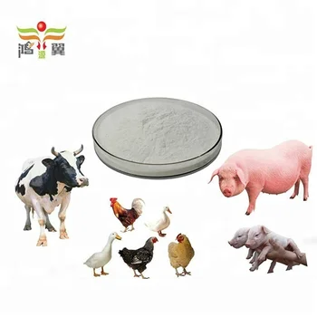 Lowest Price Feed Additive Broiler Premix And Feed Concentrate For ...