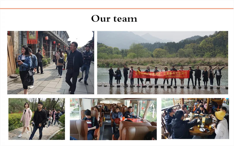 Wenzhou Xihe Electric Co., Ltd. - Solar charge controller, Solar regulator