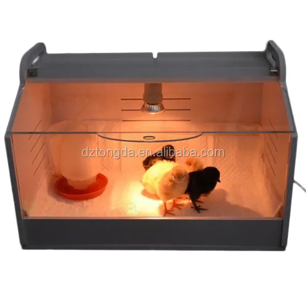 Brand New Automatic Chicken Brooder With High Quality Solar Power ...