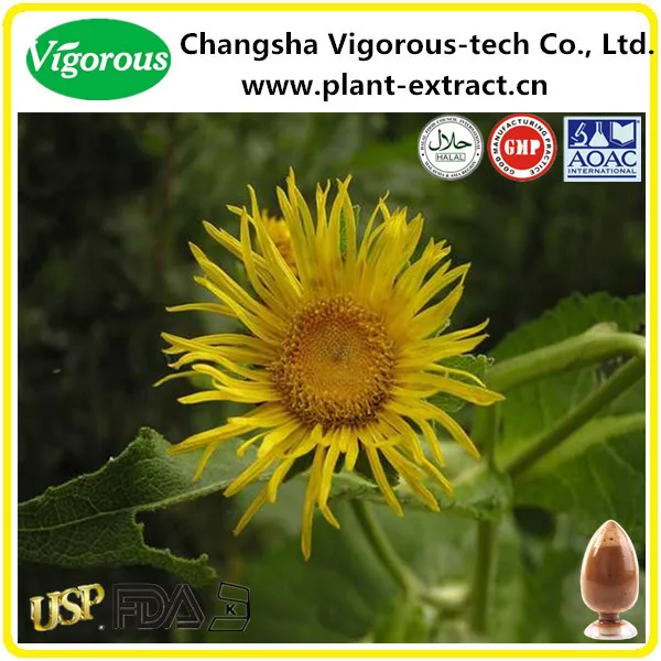 Free Samples Inula Racemosa Extract Powder/inula Helenium Extract - Buy ...