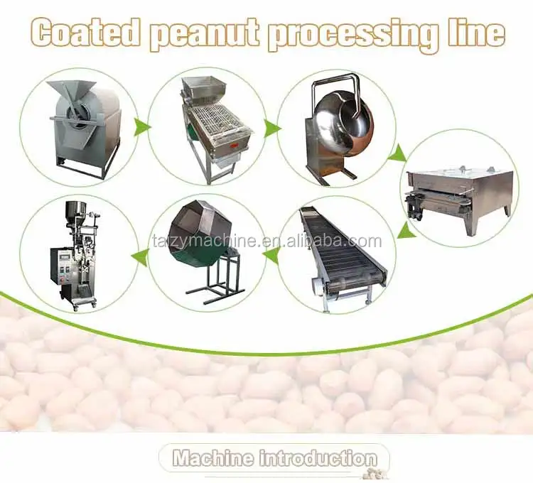 Efficient Beans Coating Roasting Line - High Productivity
