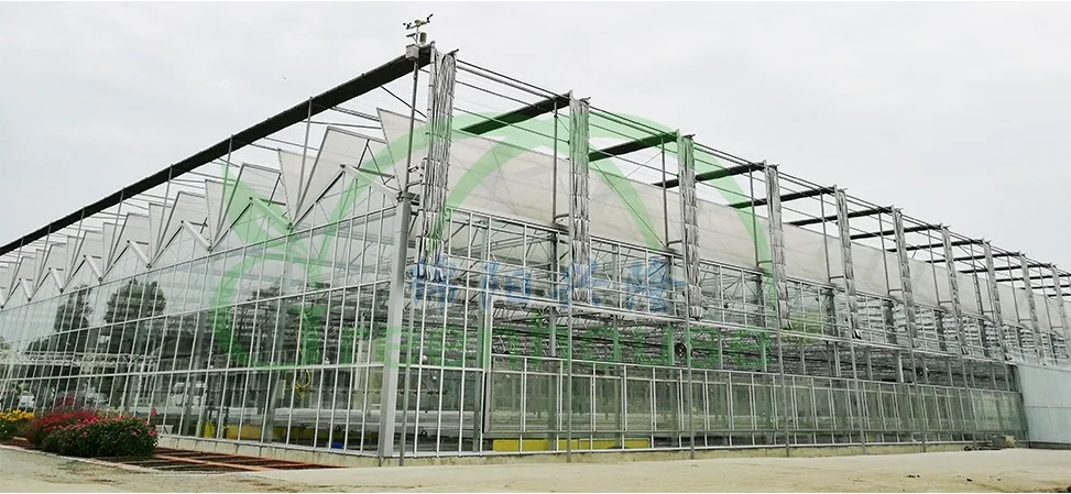 Myxl Commercial Durable Glass Farm/ Agriculture Greenhouses For Sale ...