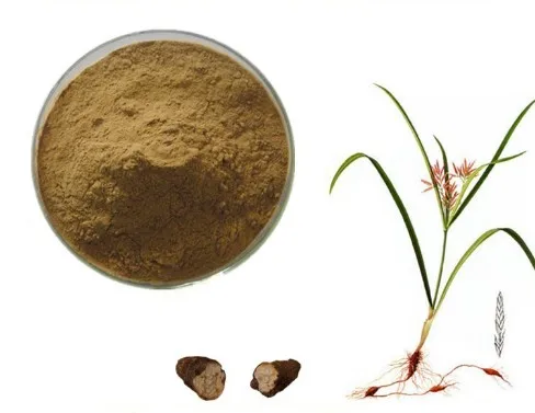 10:1 Cyperus Rotundus Powder Form Cyperus Rotundus Extract - Buy ...