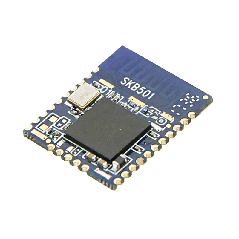 Skylab Nrf52840 Bluetooth 5.0 Module With Long Range & Customizable Oem