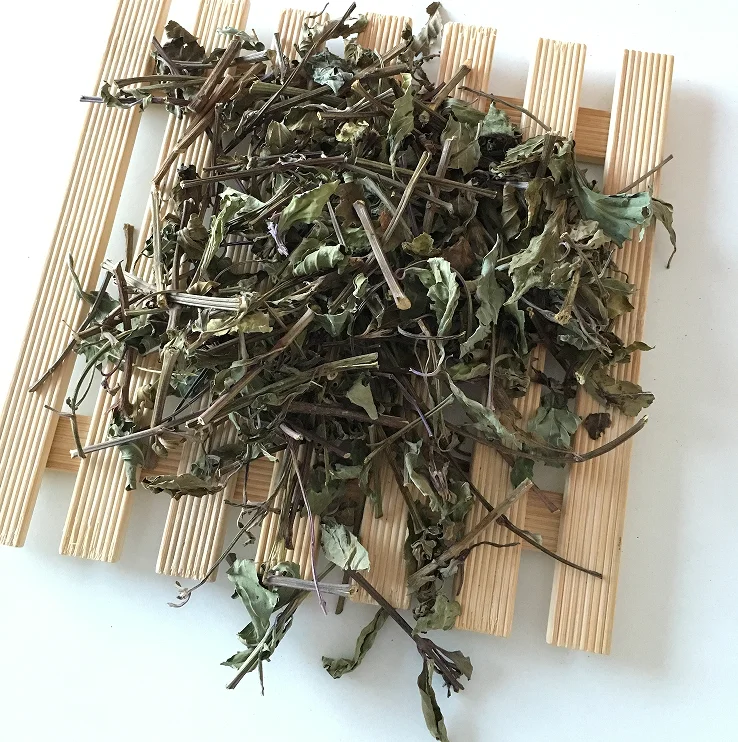 3020 Mao Xu Cao 100% Pure Natural Spicate Clerodendranthus Herb - Buy ...