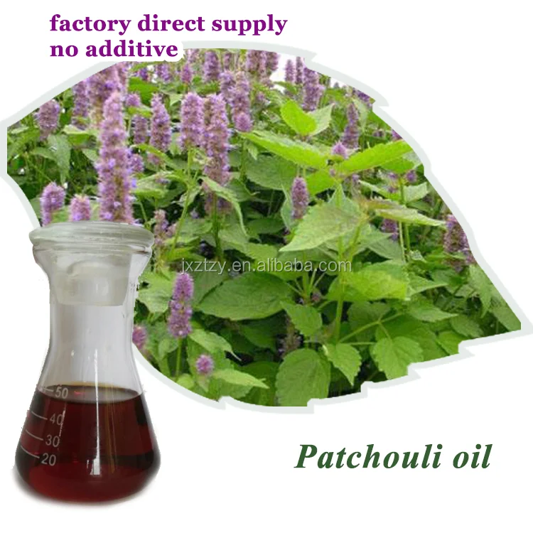 Pure Patchouli Essential Oil 100% Natural with Health Care Benefits at ...