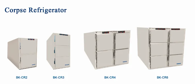 2-body Dead Body Refrigerator Morgue Freezer (cadaver Cold Storage ...