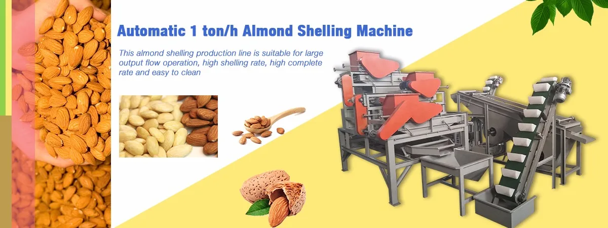 High Efficiency Almond Cracker Machine - Hazelnut Processing