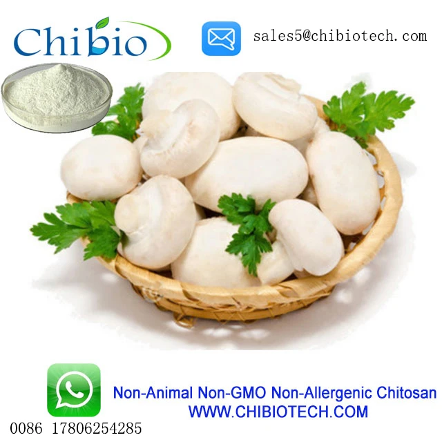 Natural Chitin Mushroom Chitosan Powder In Health Medical Use - Buy ...