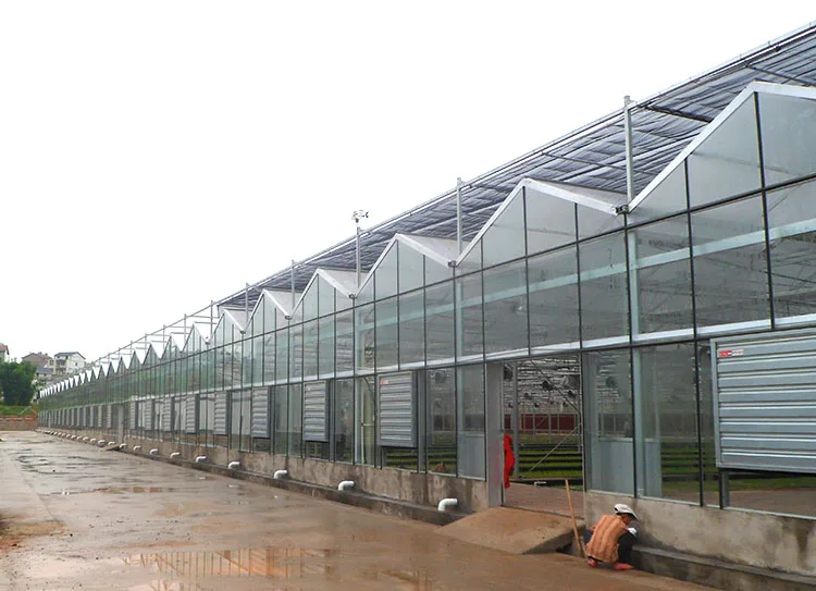 Durable Agricultural Greenhouses - Fully Automated Polycarbonate Sheet ...