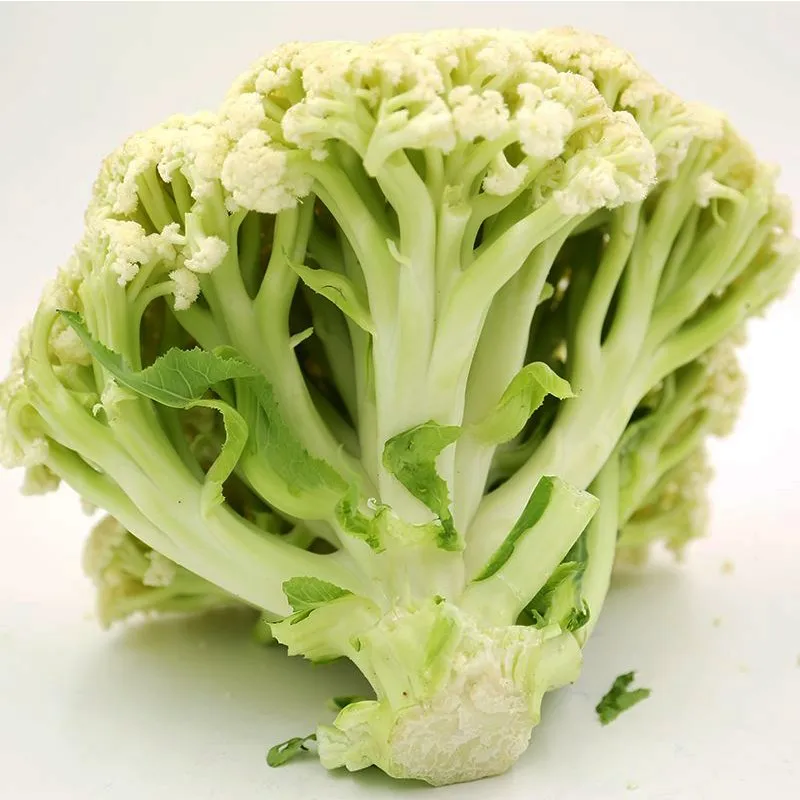S515 Hua Ye Cai Snow White Vegetable Seeds Chinese Cauliflower Broccoli ...
