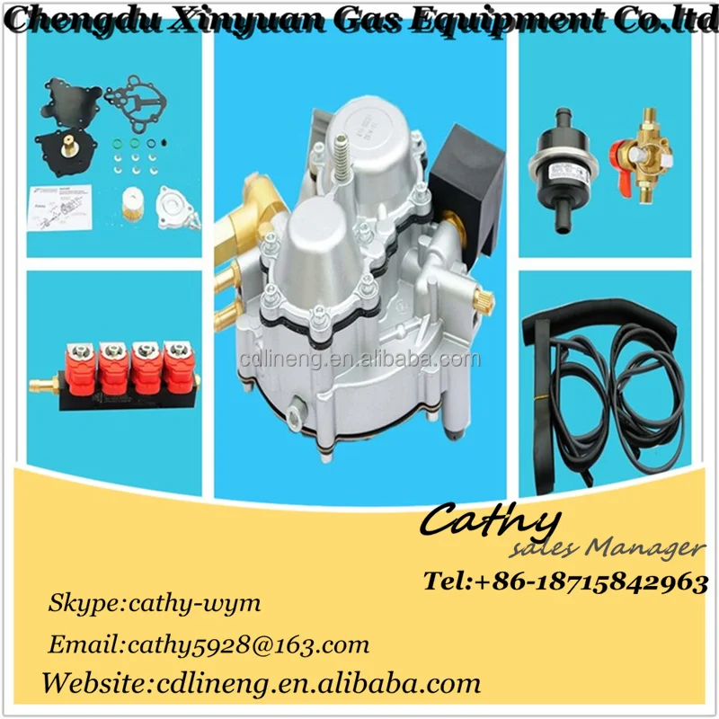 Dual Fuel System And Lpg Gas Conversion Kit Price - Buy Lpg Gas ...