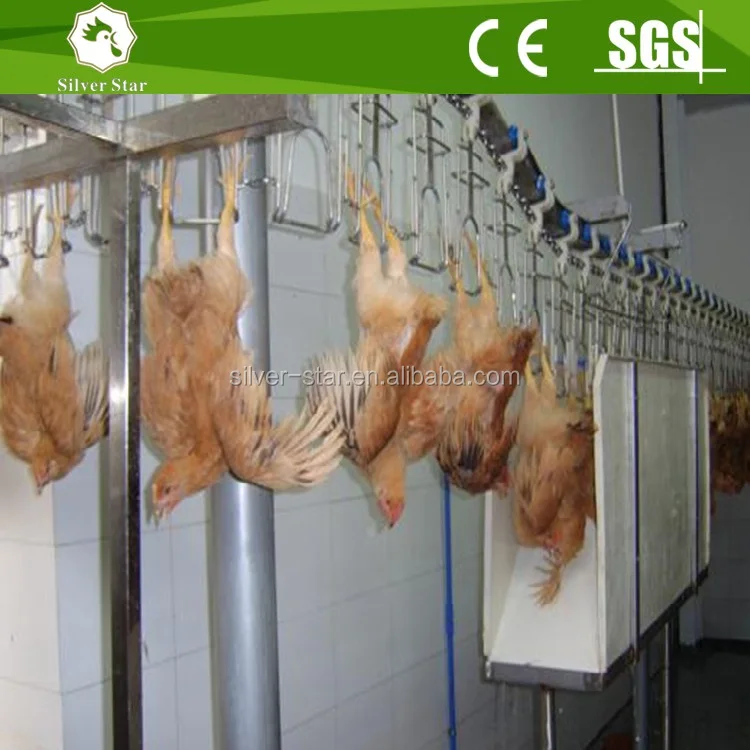 High-productivity Chicken Slaughter Equipment for Poultry Farms