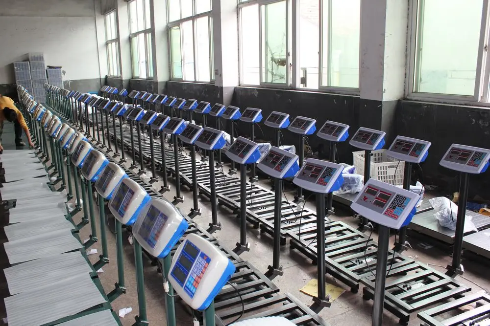 TCS System Electronic Manual Scale with Load Cell - 60kg