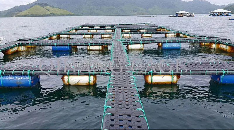 Commercial Floating Cage Aquaculture 6mx6m Lake Fish Farm - Buy ...