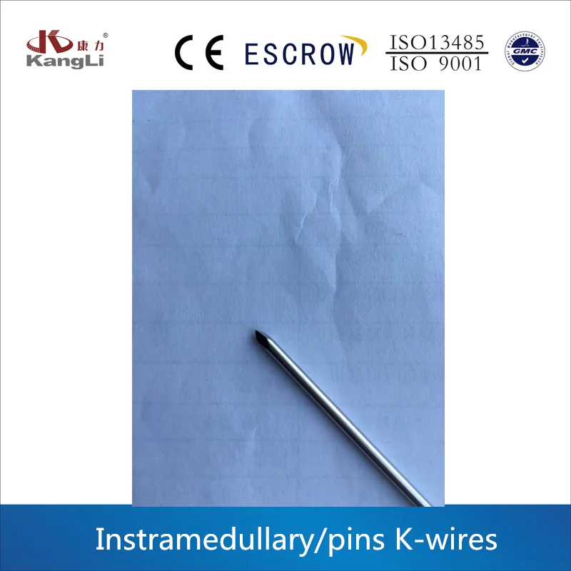 Orthopedic Implants:stainless Steel Intramedullary Pins - Buy ...