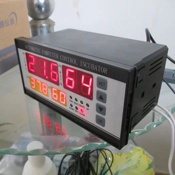 Hot Sale Full Automatic Computer Control Incubator - Buy Full Automatic ...