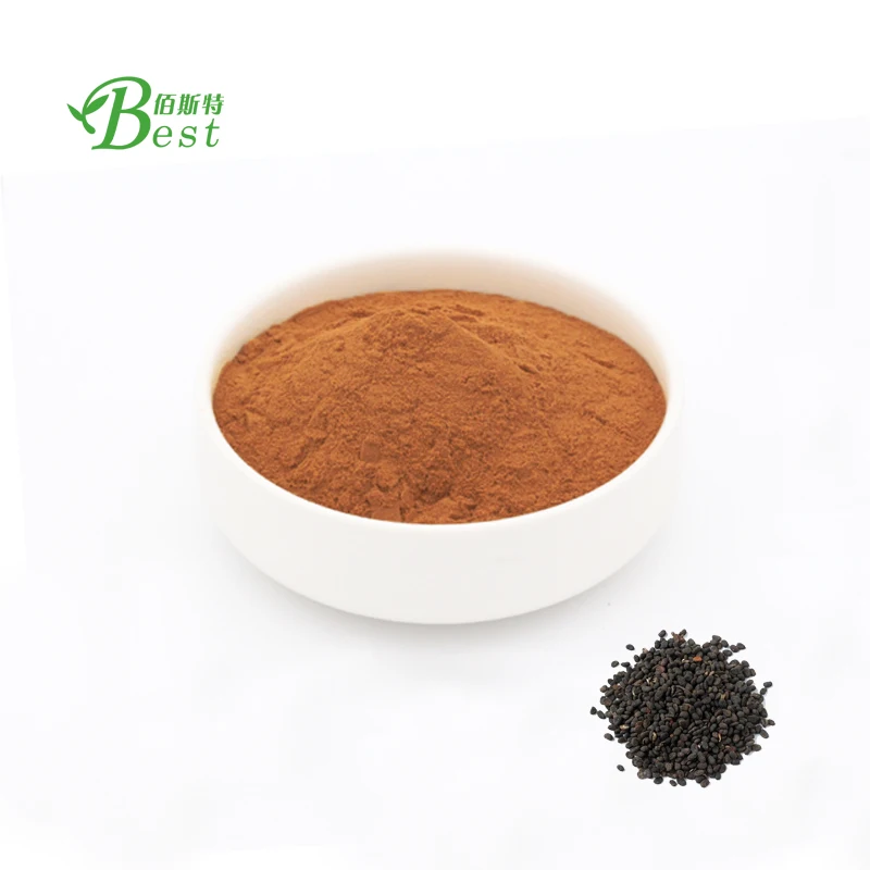 Psoralea Corylifolia Extract Psoralen 10:1 - Buy Psoralea Corylifolia ...