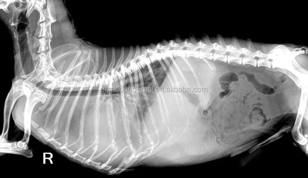 1417 Inch CSI X-Ray Detector System - MSL Flat Panel Detector