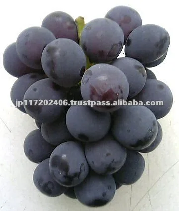 Pione (grape) - Alchetron, The Free Social Encyclopedia