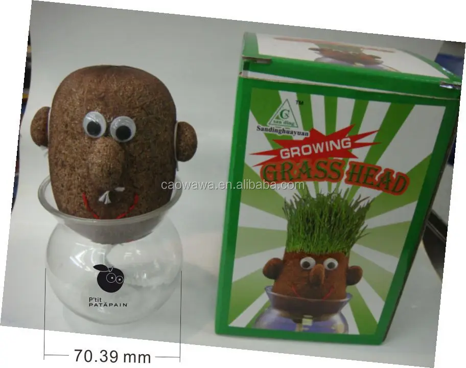 2018 Hot Sale Magic Grass Head Hair Grow Plants Pot Doll Gras Doll ...