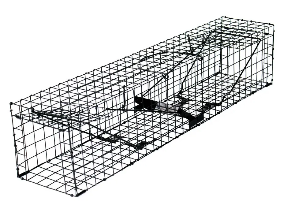 Professional Adhesive Factory Humane Large Live Animal Metal Wild ...