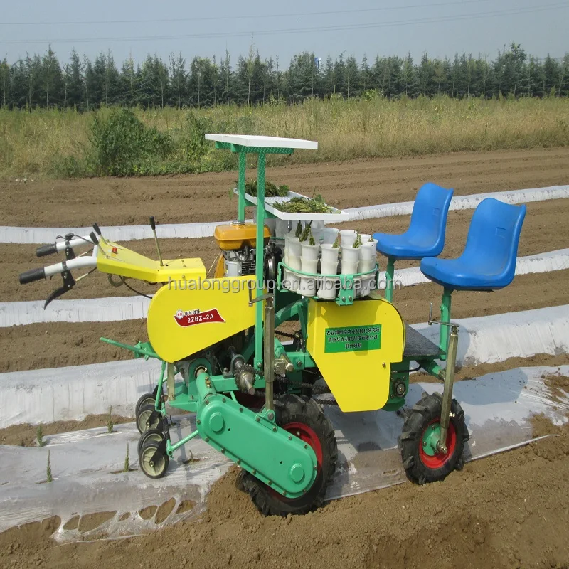 Máquina para plantar tomates siembra de plántulas máquina maquinaria ...