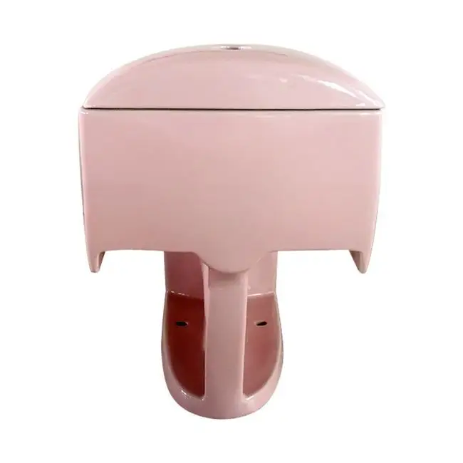 Floor Mounted Pink Toilet - Custom Colored & Modern Design