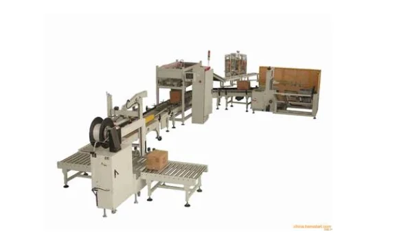 Automatic Rocker Arm Case Packer/ Robot Carton Packing And Sealing ...