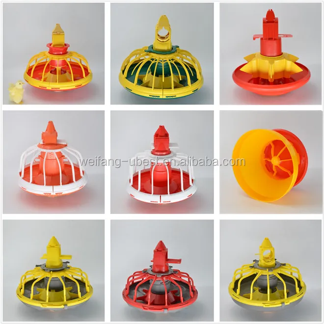 Broiler Chicken Poultry Closed System - Automatic & Efficient