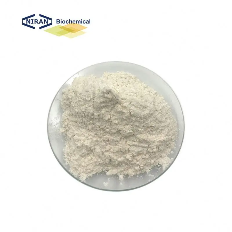 High Quality Xanthan Gum Manufacturer Buy Xanthan Gum Manufacturer high-quality-xanthan-gum-manufacturer-buy-xanthan-gum-manufacturer