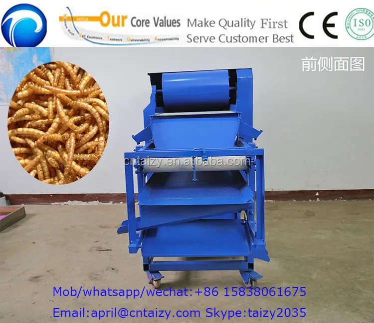 Mealworm Selecting Screening Machine To Separate Big And Small Worm ...