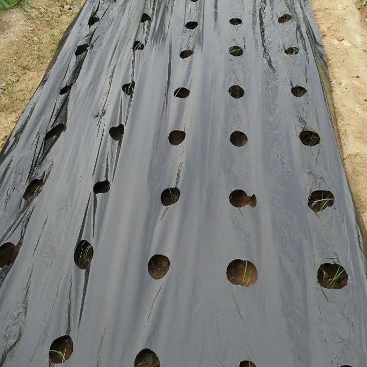 Heat Reflective Plastic Agricultural Mulch Film - Buy Mulch Film,Heat ...