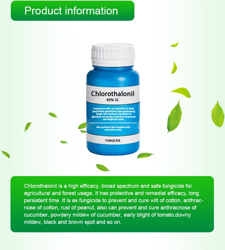 China Suppliers Agriculture Fungicide 75 Wp Chlorothalonil With Price ...