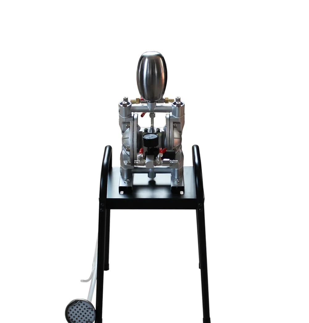 Diaphragm Paint Transfer Pump - Efficient Fluid Handling
