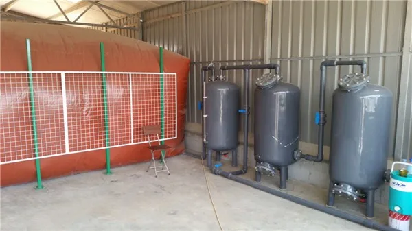 Puxin Large Size Biogas Plant Use Customized Durable Biogas Storage Bag ...