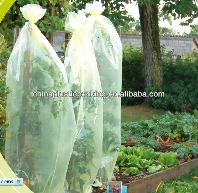 Plastic Tomato Cover For Fruit In Bag - Buy Tomato Film Cover,Tomato ...