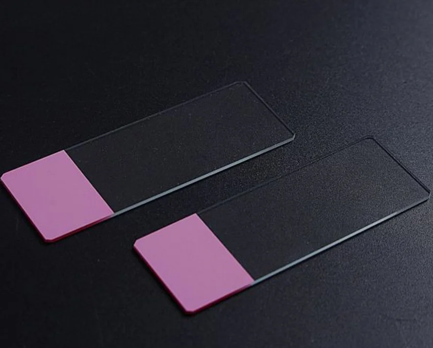 Histology Preparation System Thin Section Prepared Microscope Slides ...